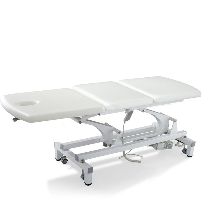 Electric Treatment Table Price